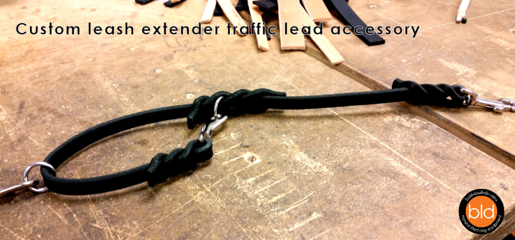 Full-Custom Designed Leather Dog Leash - the leash of your dreams ...
